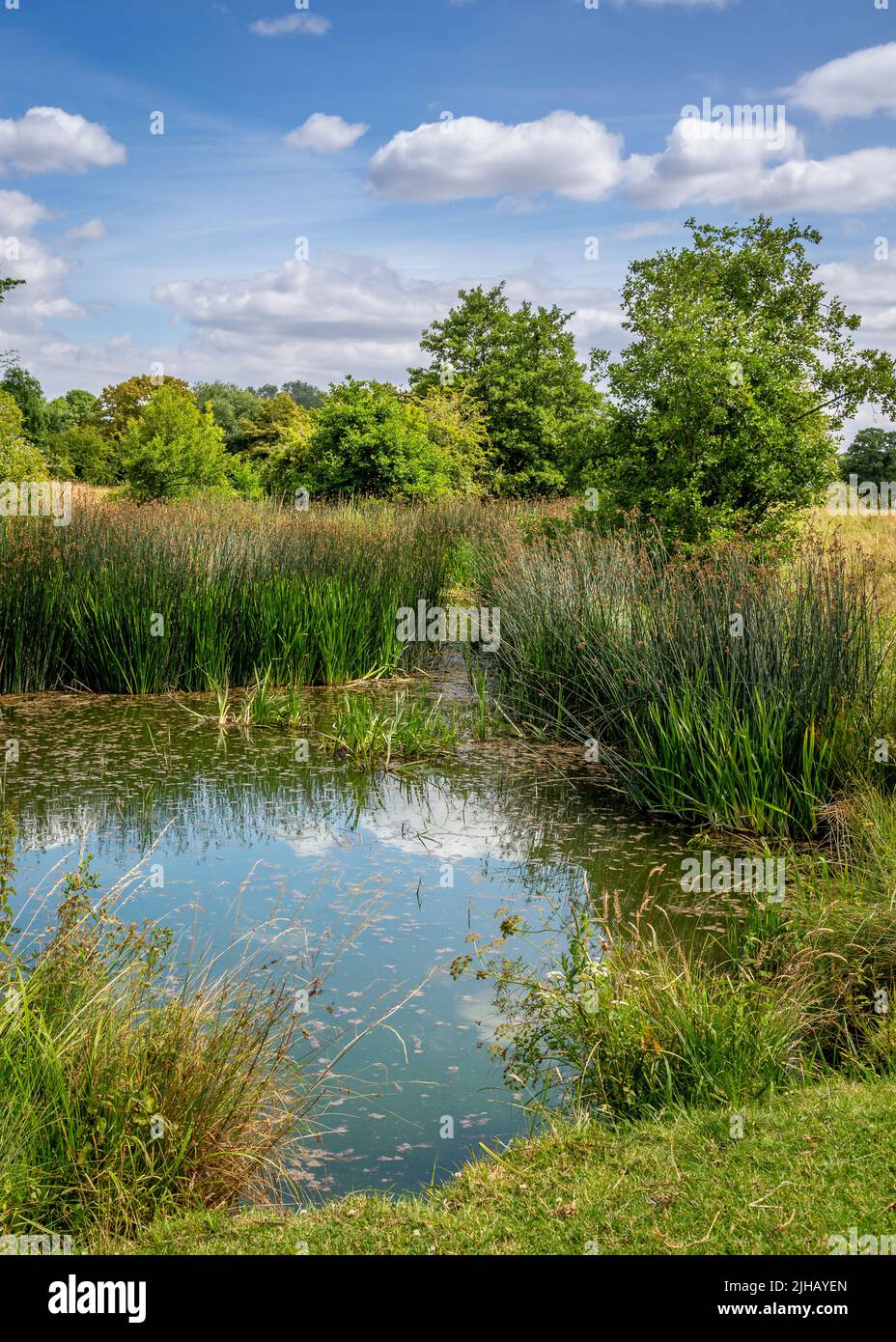 Bordesley abbey meadows hi-res stock photography and images - Alamy