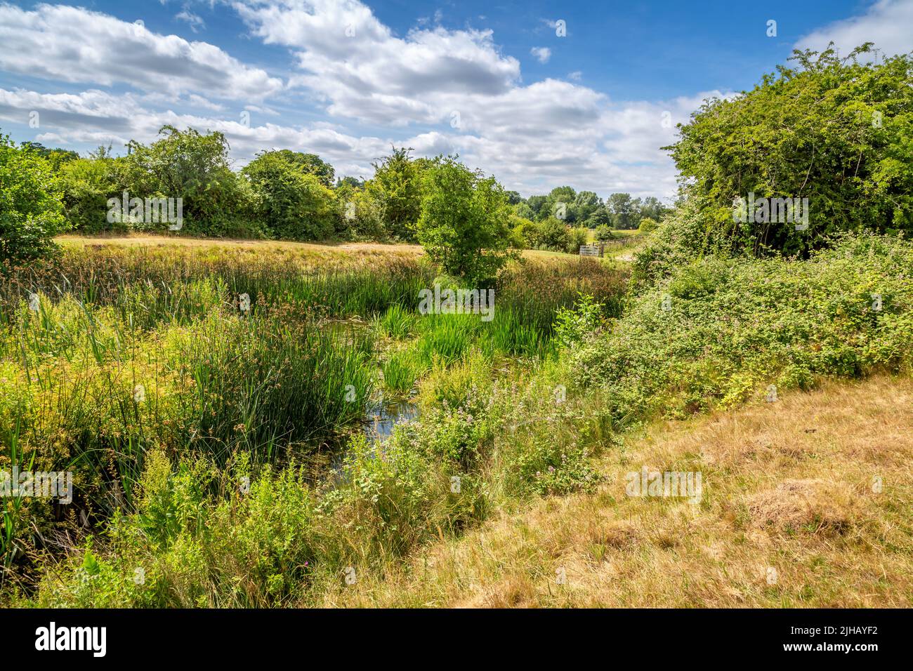 Bordesley abbey meadows hi-res stock photography and images - Alamy