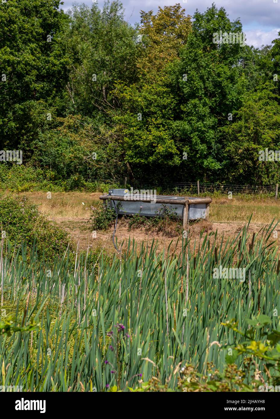Bordesley Abbey Meadows surrounding the ruins in Redditch ...
