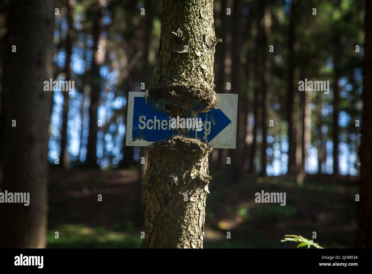 Guidepost on a hiking path near Siebenlinden in the Waldviertel ...