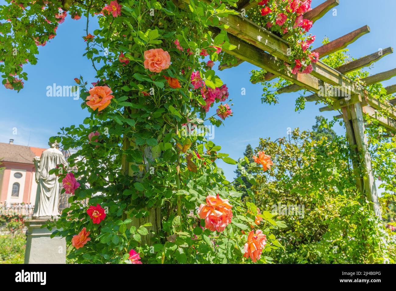 Bodensee mainau rose garden germany hi-res stock photography and images ...