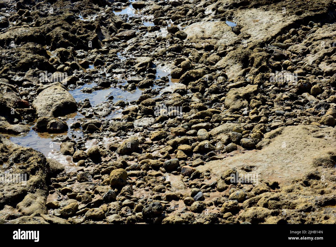 Textured background of rocks of different sizes and sea water on a ...