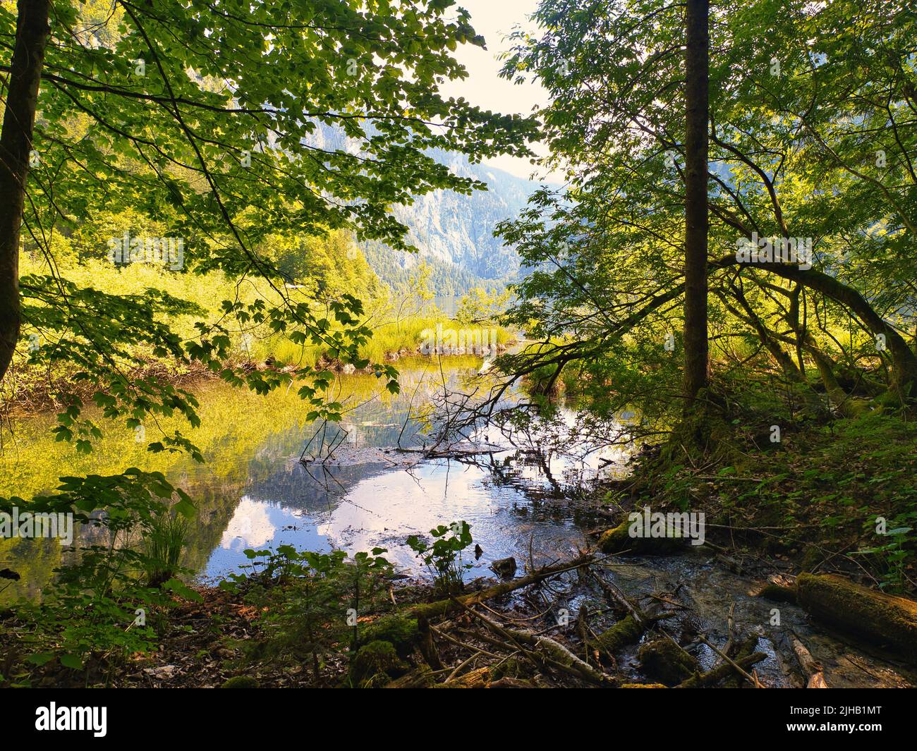 The beautiful scenery of Lake Toplitz and the green nature in ...