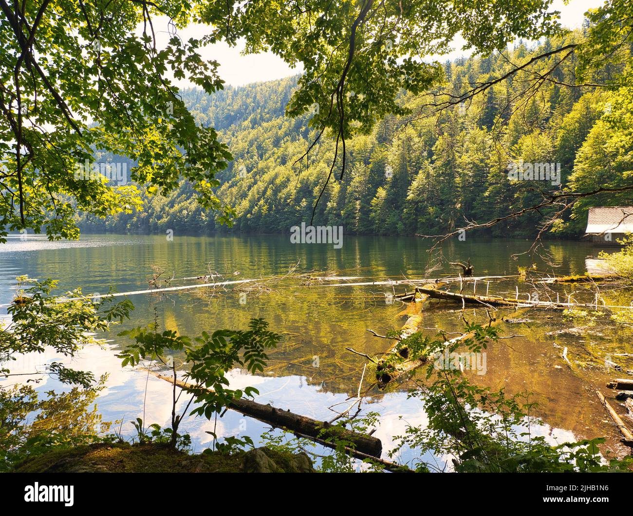The beautiful scenery of Lake Toplitz and the green nature in ...