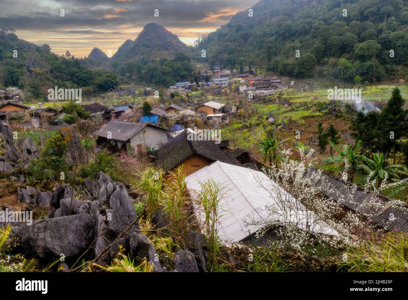 Spring in Lao Chai village in Ha Giang, Vietnam with peach blossoms ...