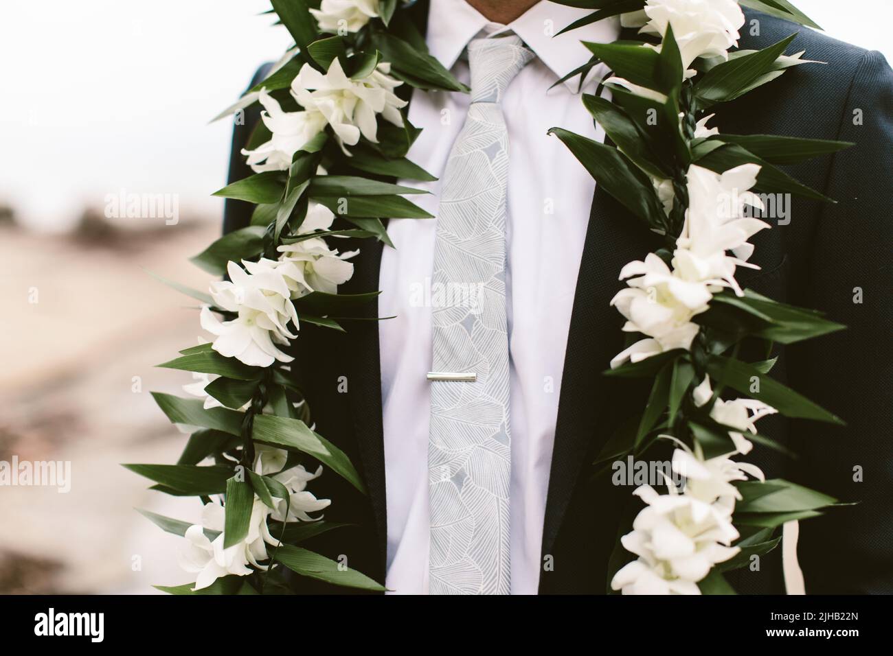A man wearing a formal suit, tie, and a Hawaiian lei Stock Photo - Alamy
