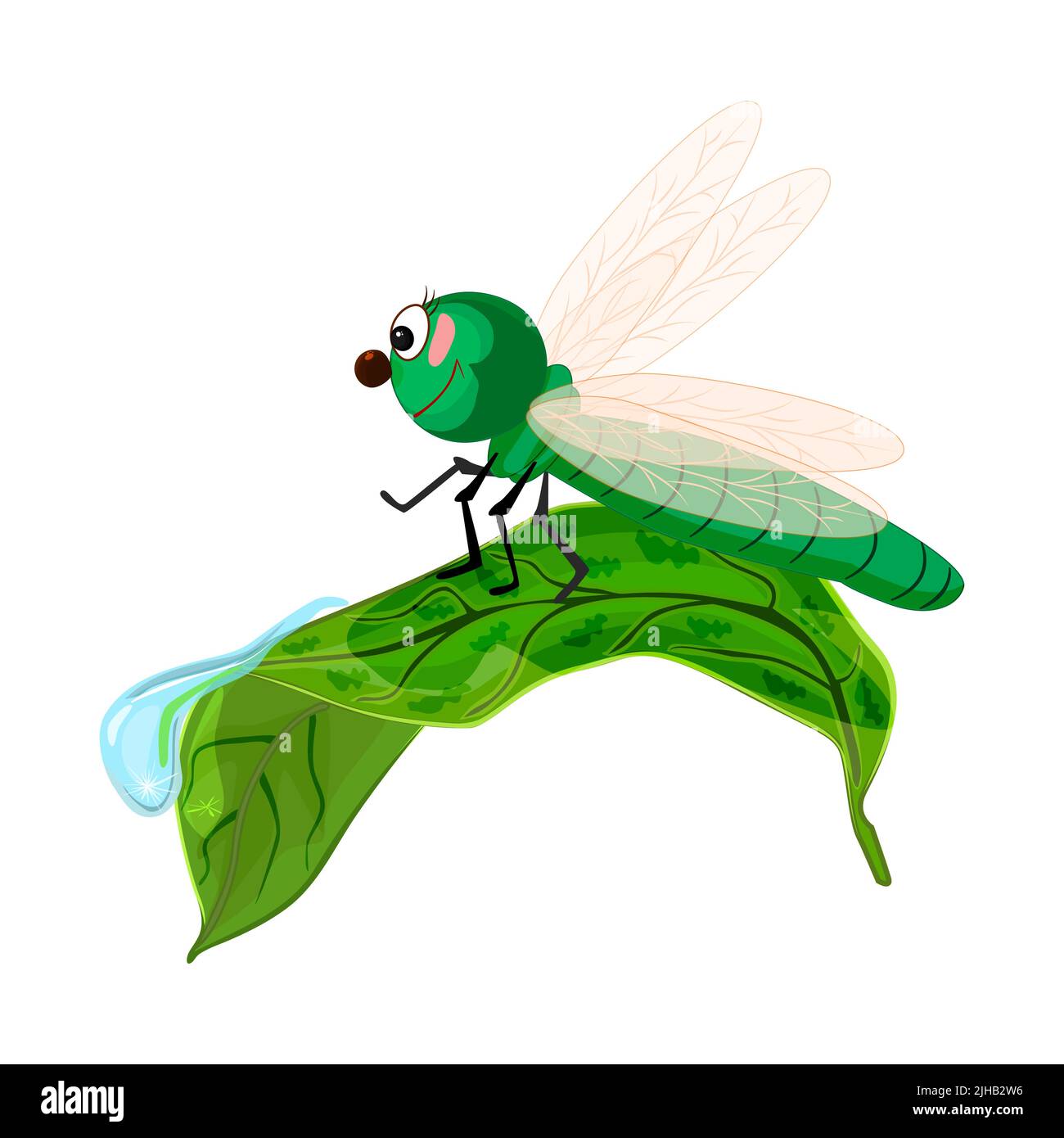 Dragonfly on leaf.Cute cartoon insect crawling on leaf with dew drop ...