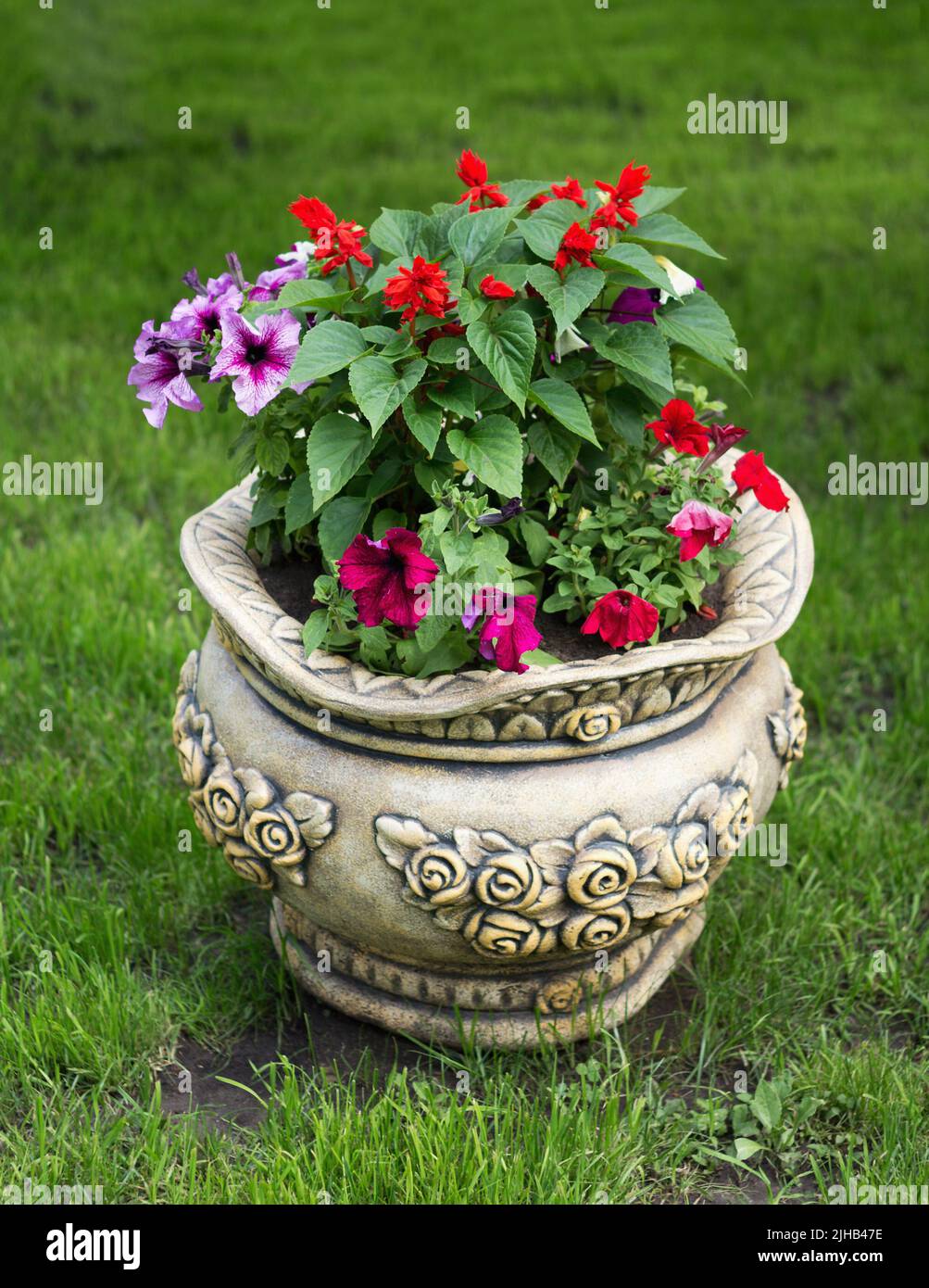 Beautiful flower pot decorating lawn Stock Photo - Alamy