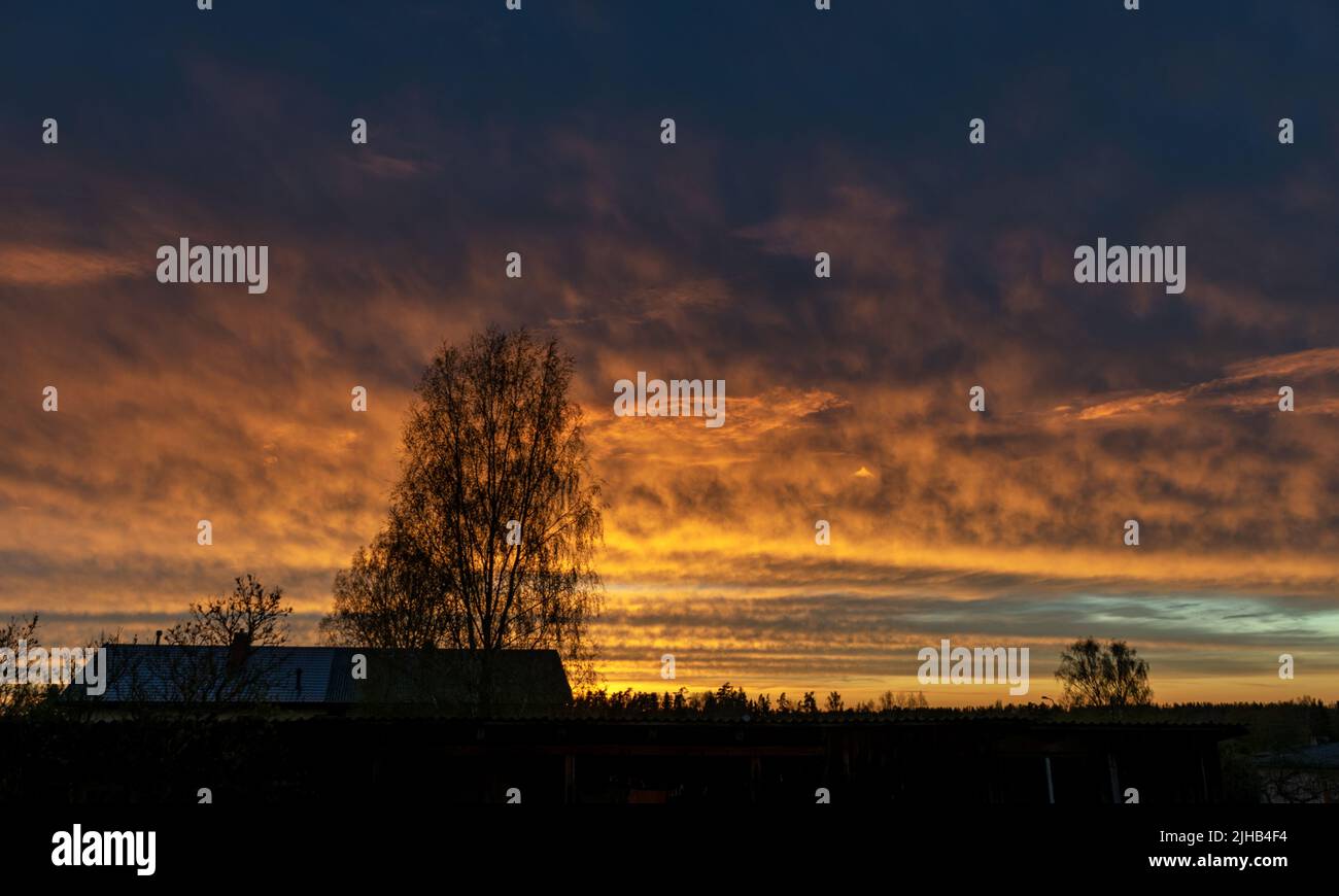 gorgeous sunset landscape over house roofs, dark tree silhouettes ...
