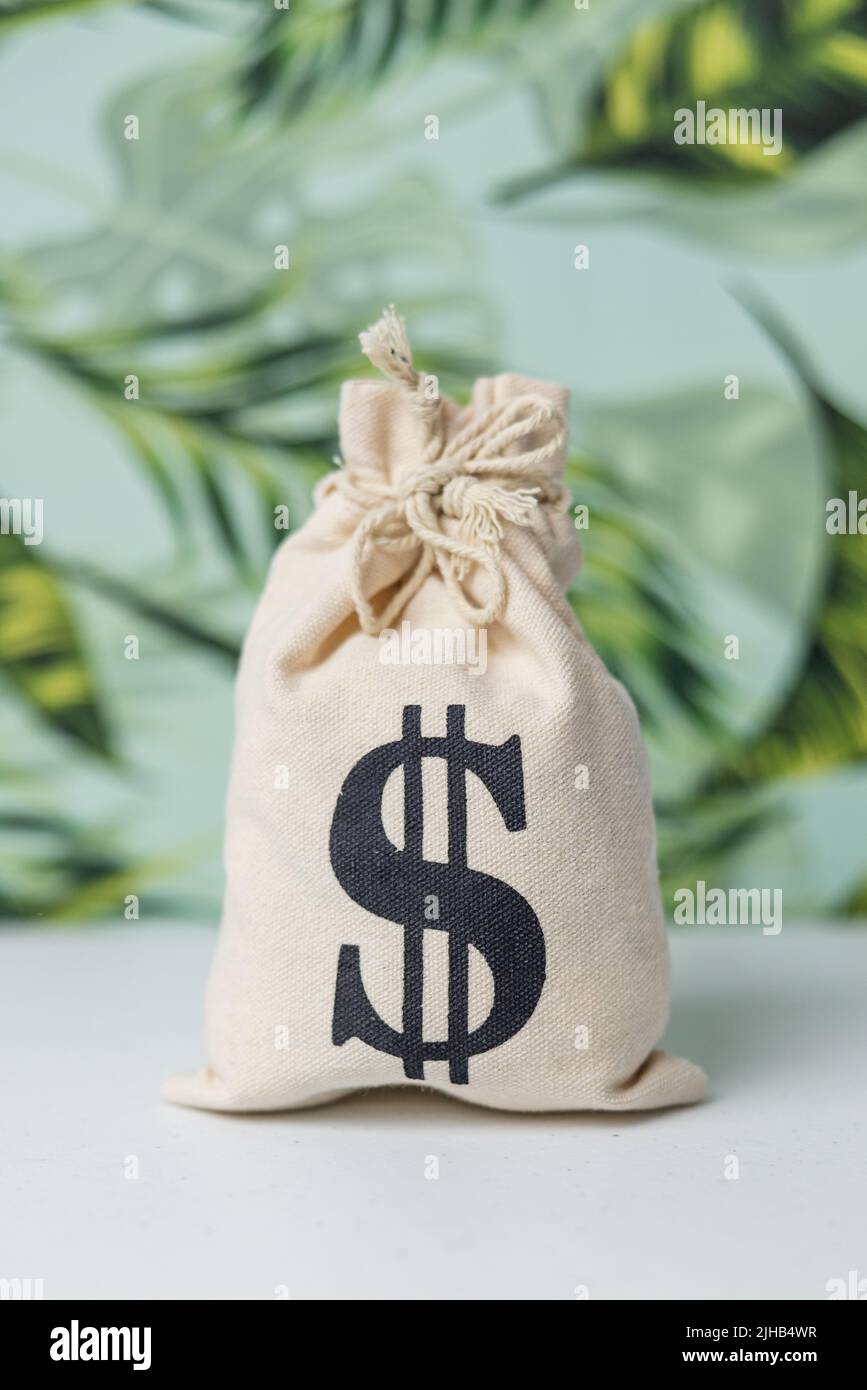 A bag of money in front of a Florida tropical palm tree leaves wall ...