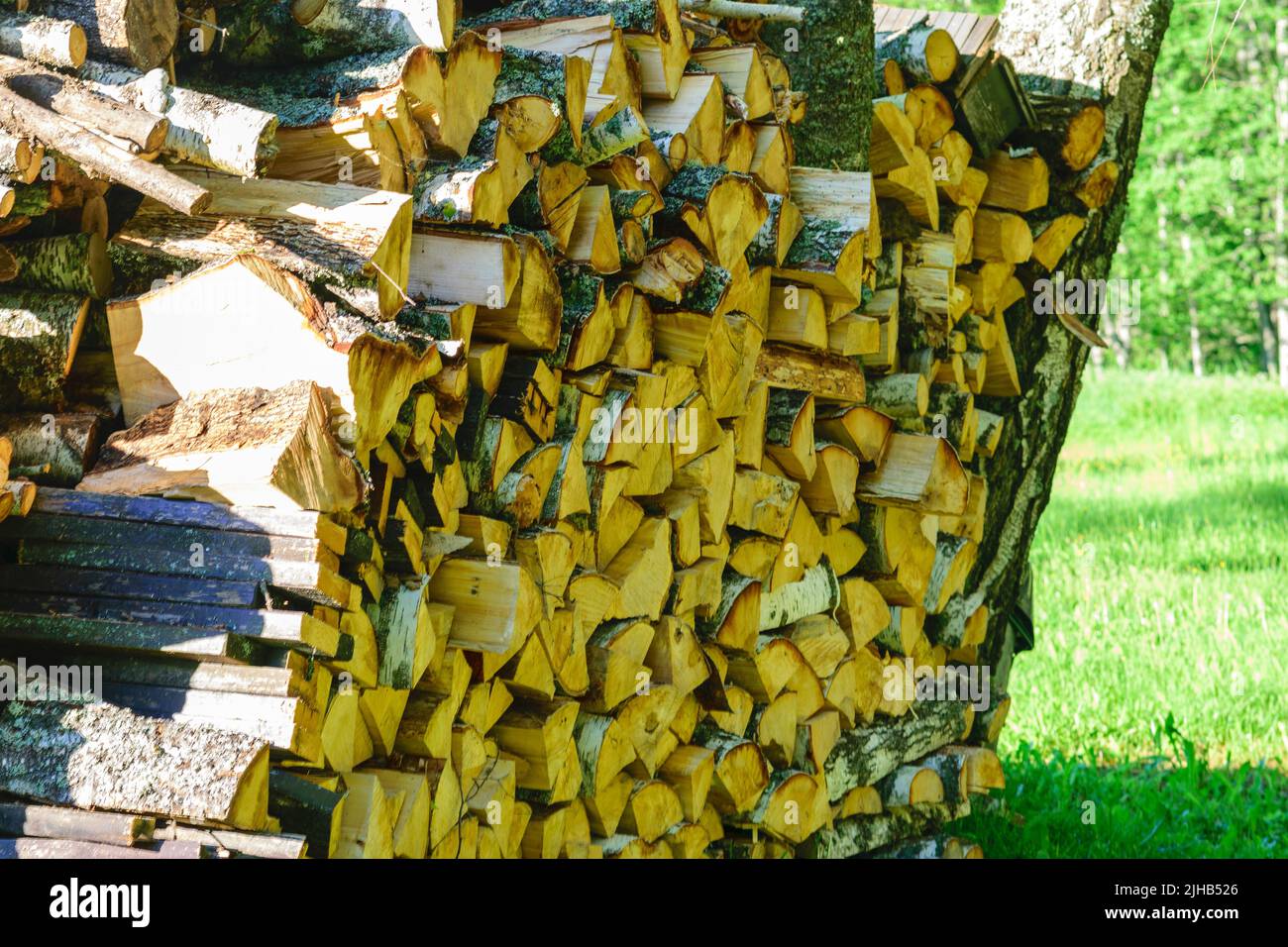 prepared firewood for the winter heating period, energy crisis ...
