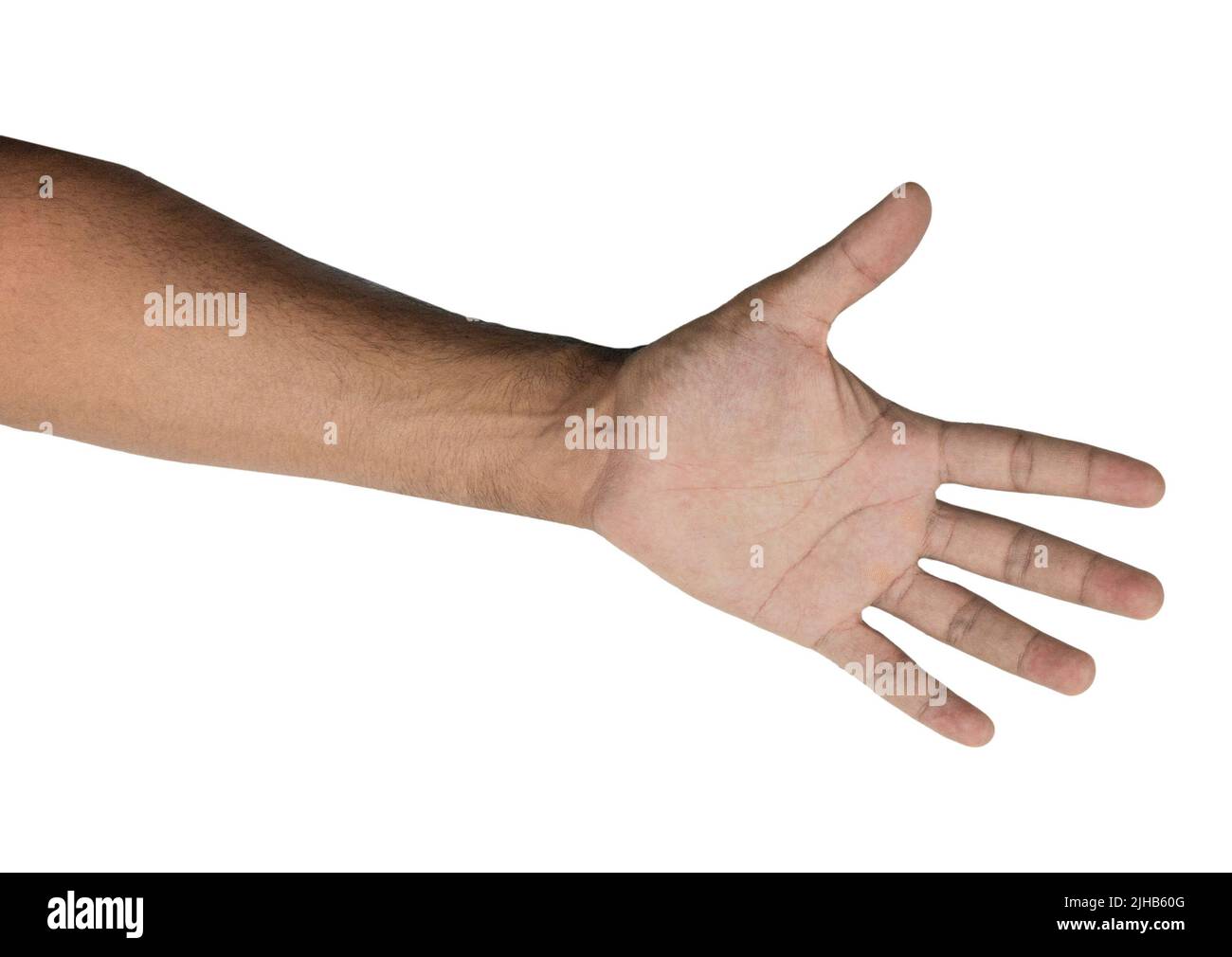Black Male Hands Isolated on White background Stock Photo - Alamy