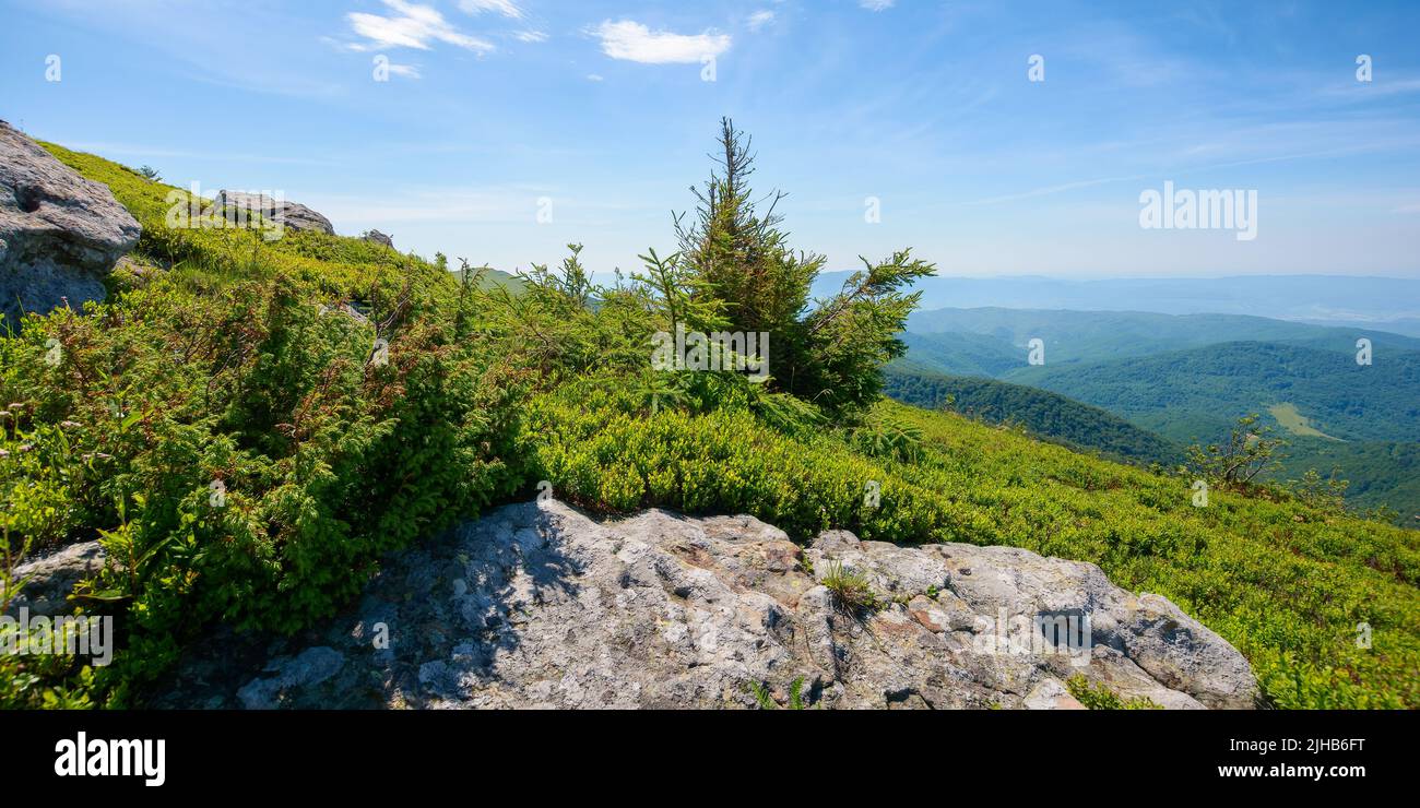 mountain scenery in summer. tree and stones on the grassy hill. sunny ...