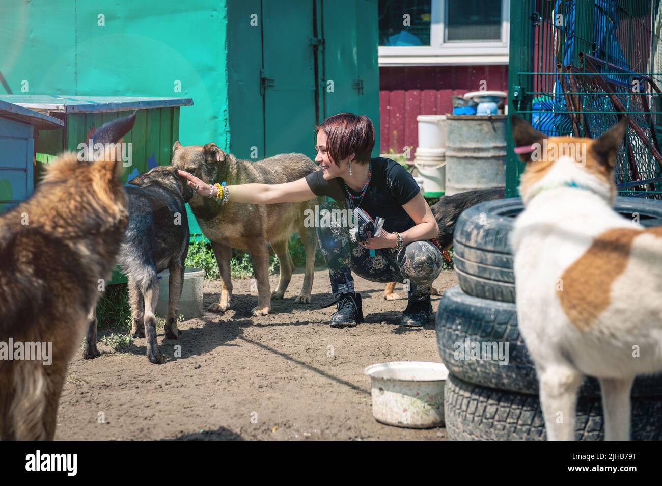 Animal shelter volunteer takes care of dogs. Lonely dogs in cage with ...