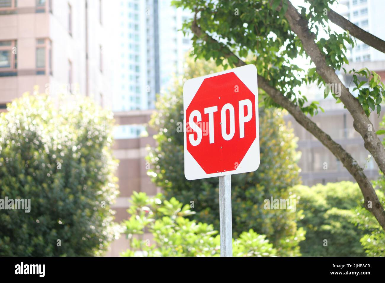 Stop sign in a empty road Stock Photo - Alamy