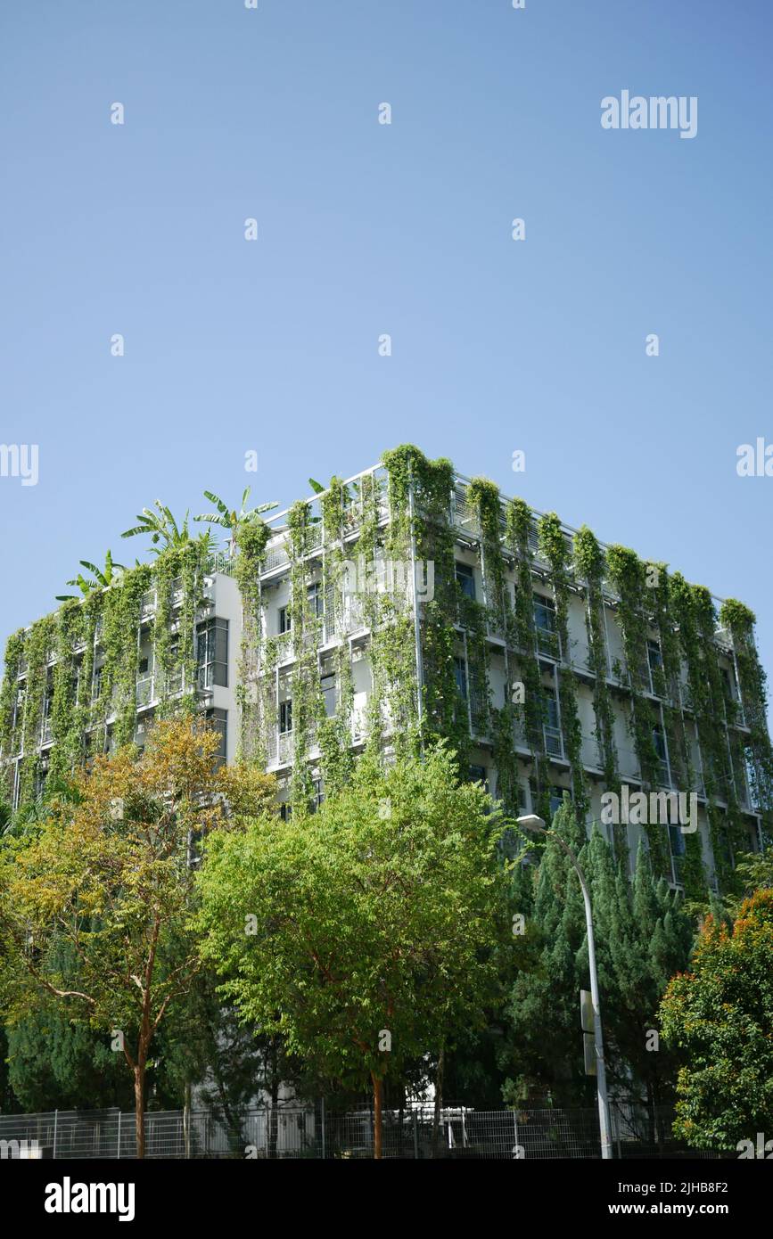 building with plants growing on the facade Stock Photo - Alamy