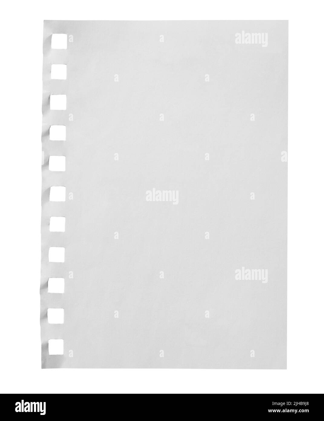 collection of white ripped pieces of paper on white background. each ...