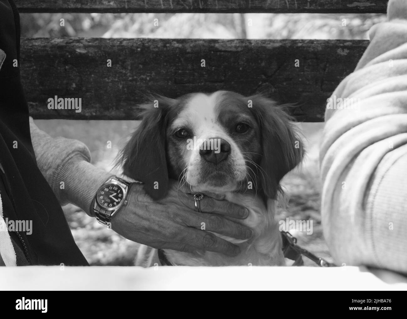 Strong gaze hi-res stock photography and images - Alamy