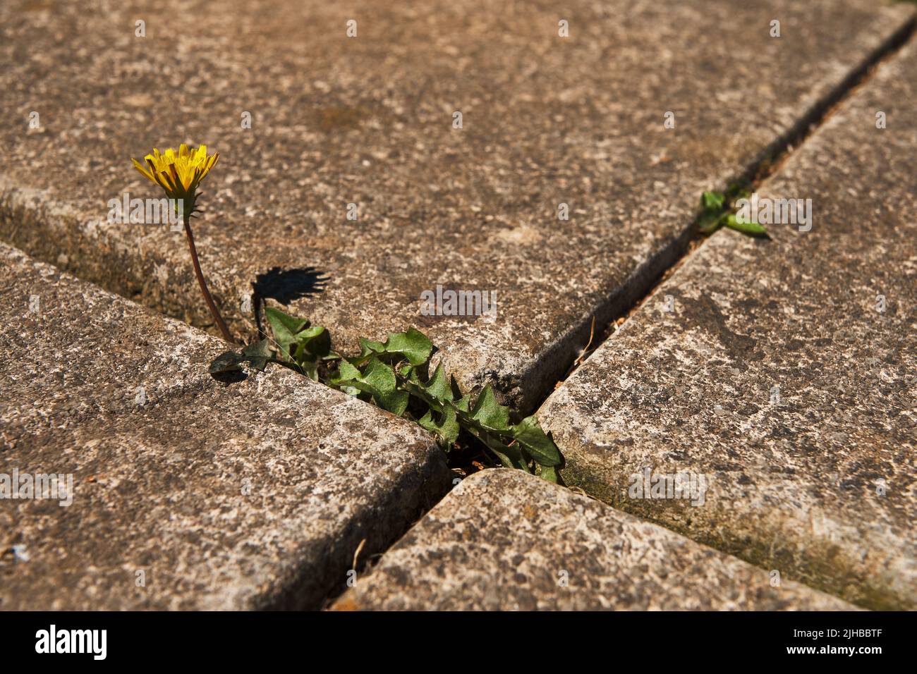 Persistent chemicals hi-res stock photography and images - Alamy
