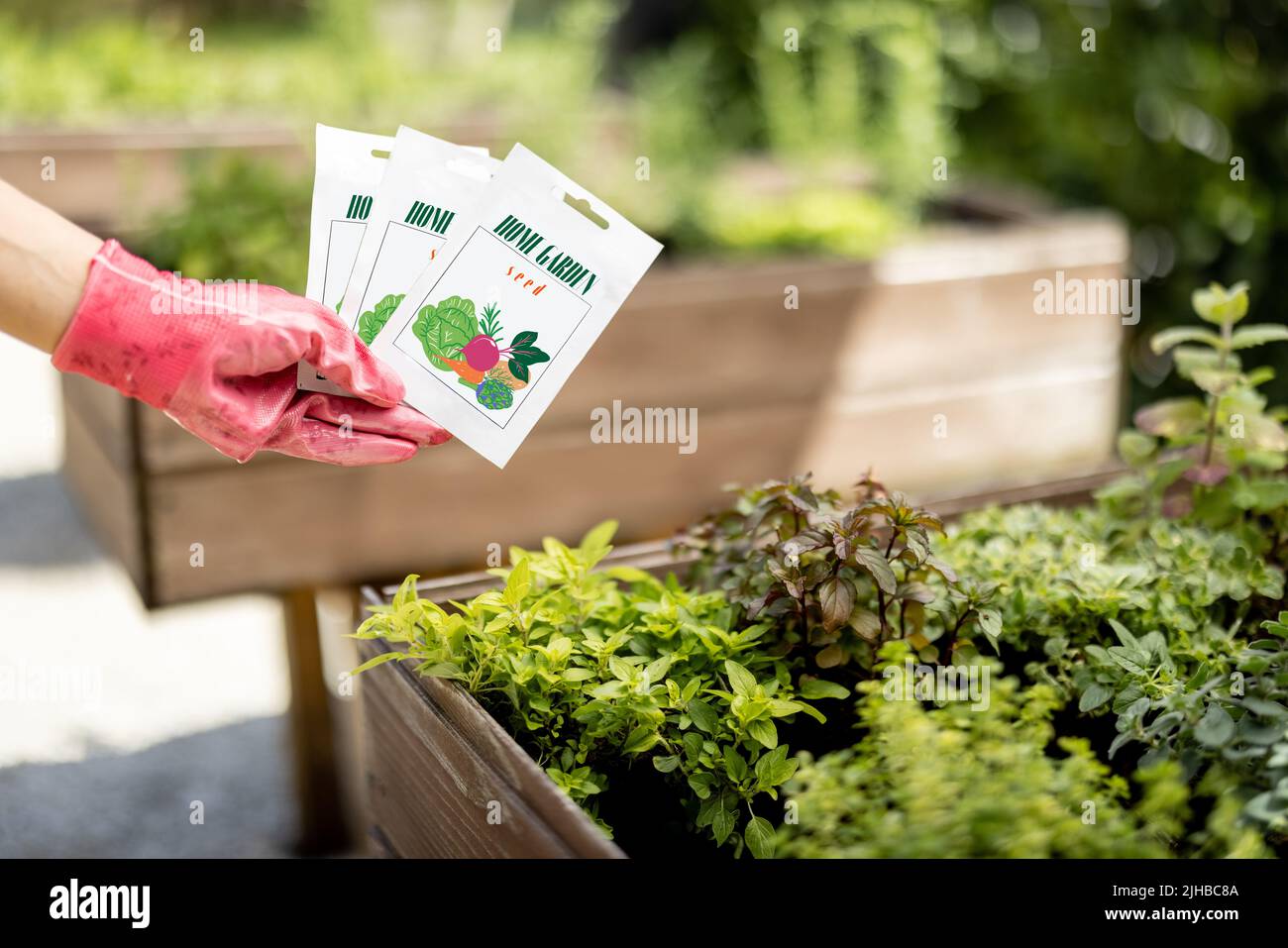 Vegetable seeds in paper packet Stock Photo - Alamy
