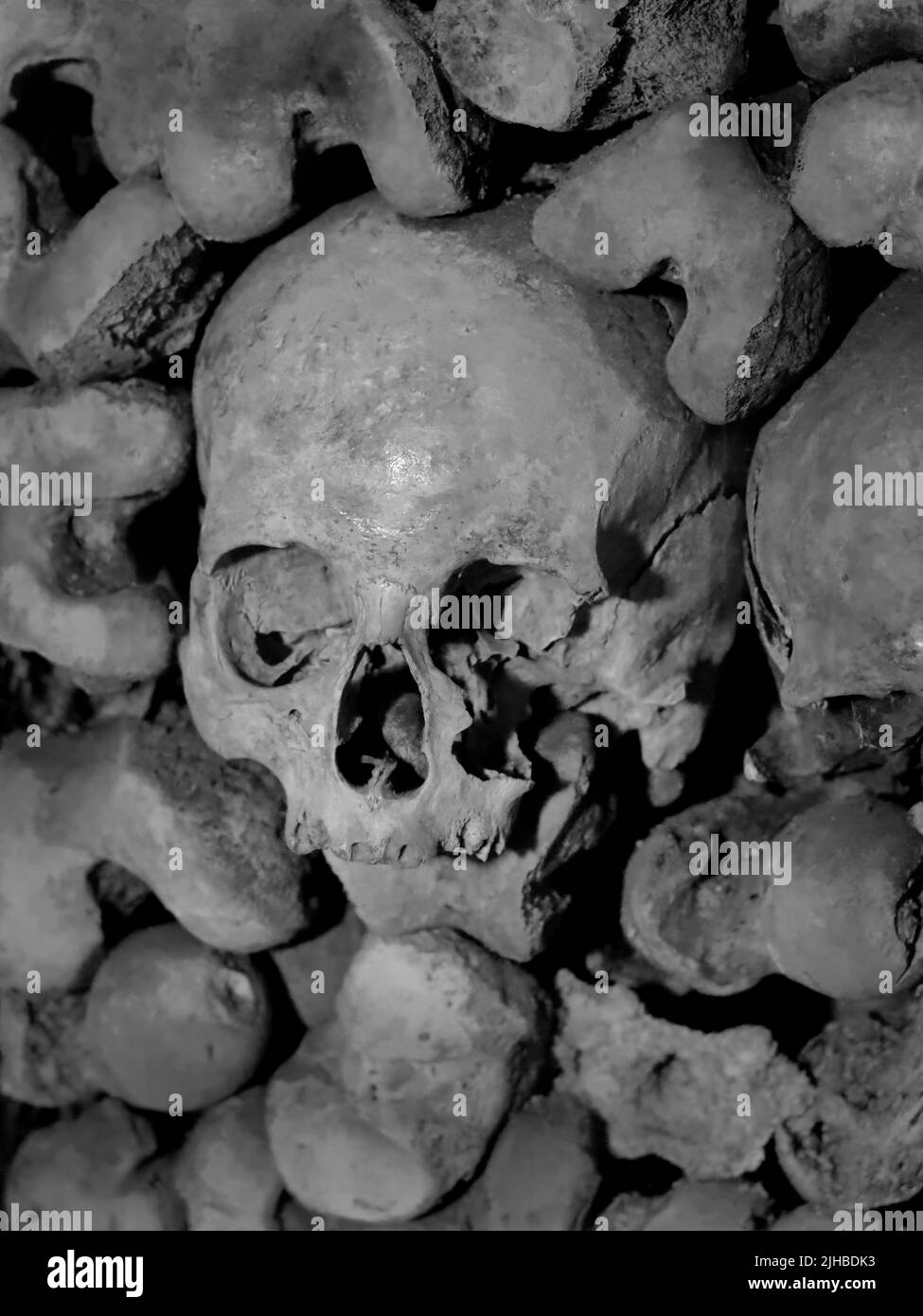 Human skulls and bones in crypto, concept of death Stock Photo - Alamy