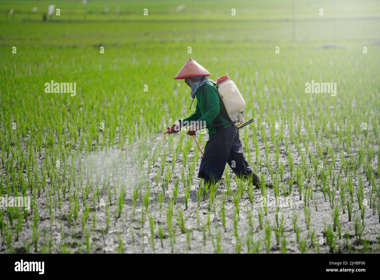 Man in semarang hi-res stock photography and images - Alamy