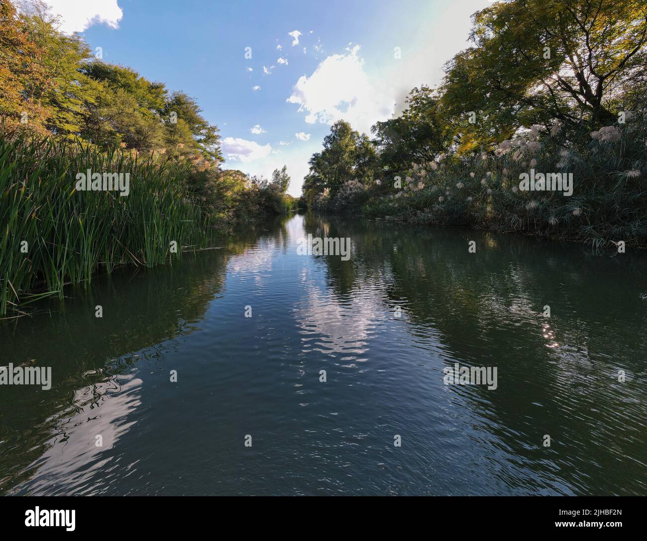 A beautiful view of Tati river near the forest in Francistown, Botswana ...