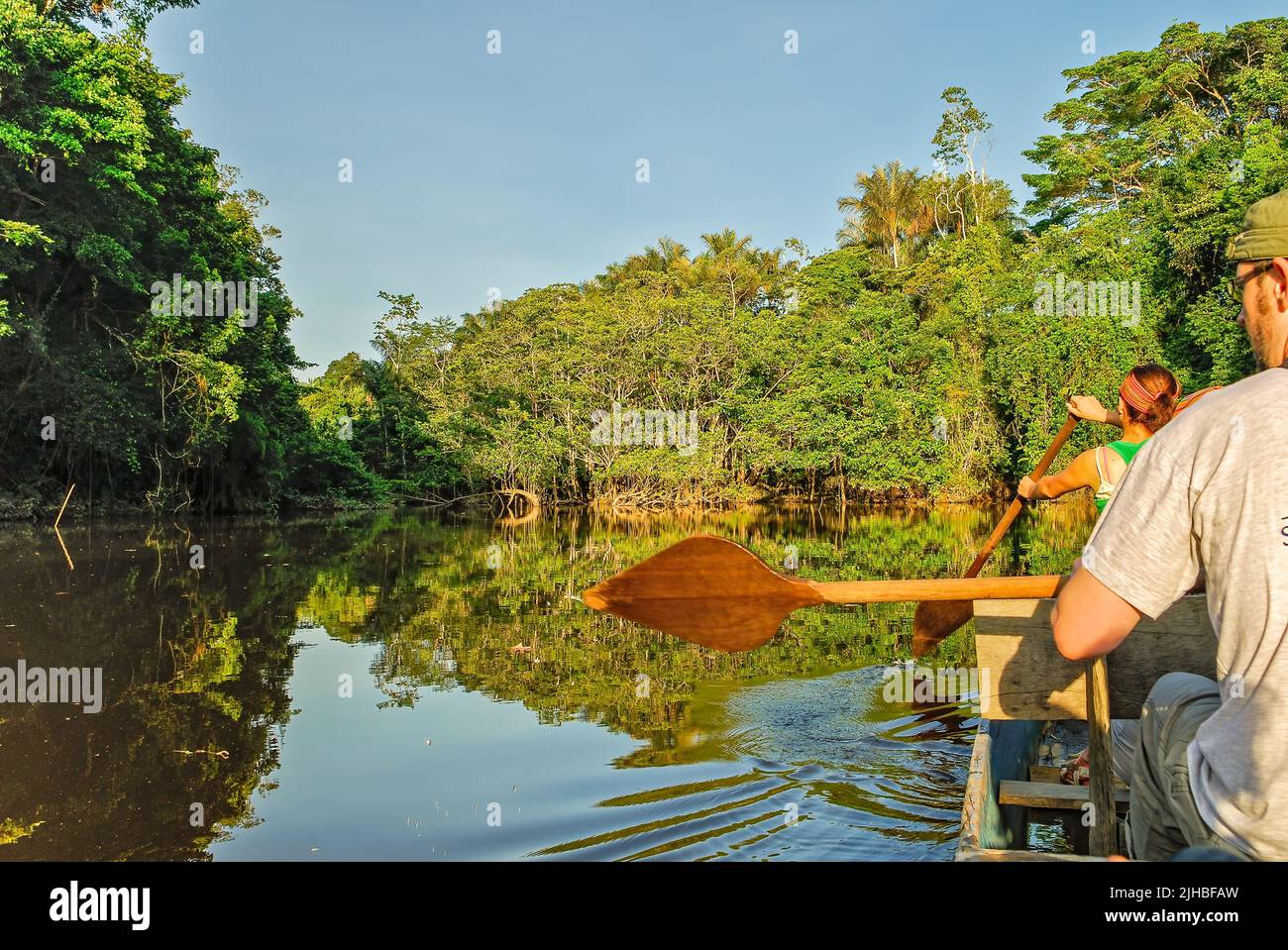 A Couple rowing a canoe in Amazonian lagoon of the Cuyabeno national ...