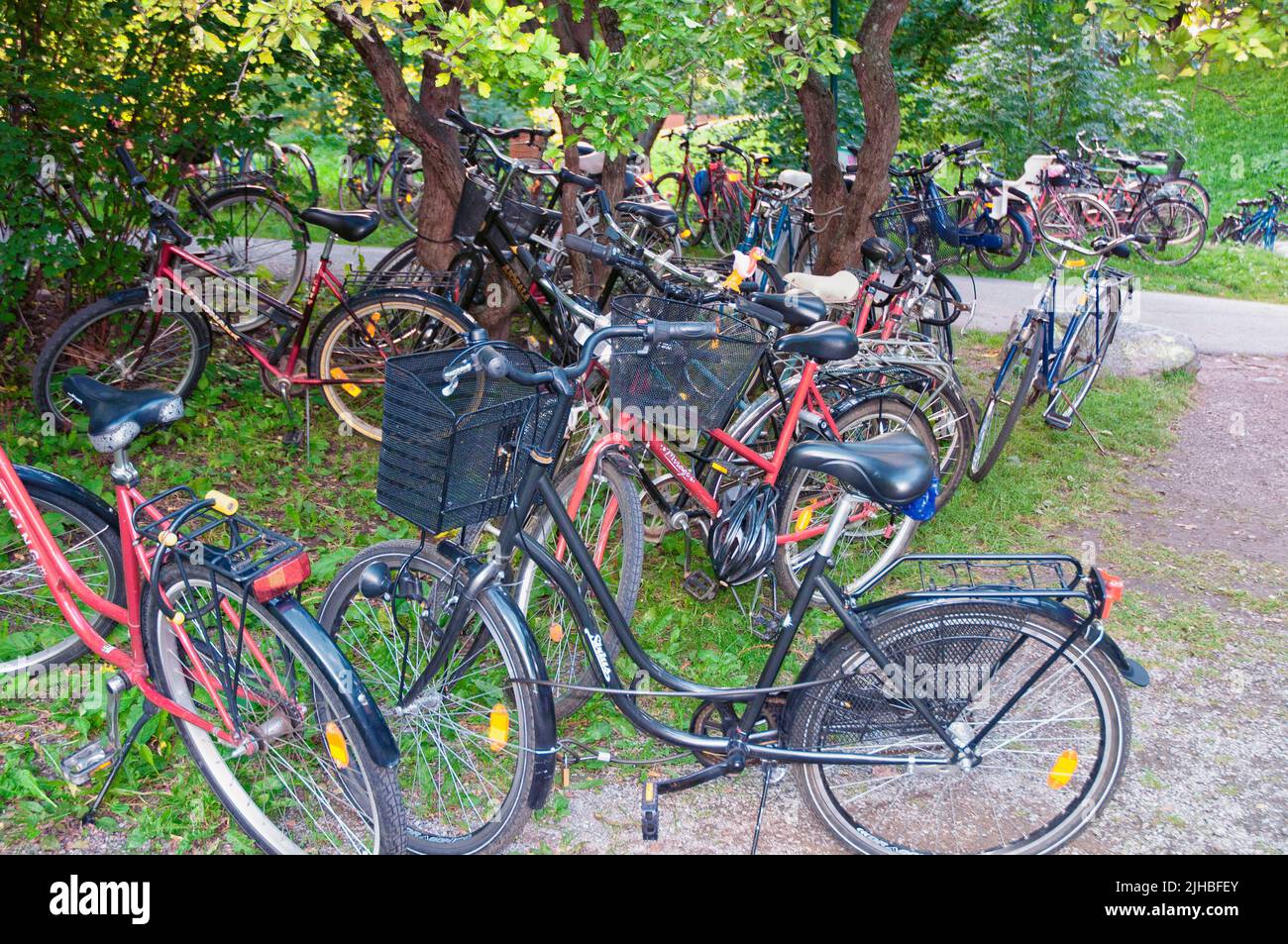 Colorful aspects of apple tree branches and sunflowers Stock Photo - Alamy