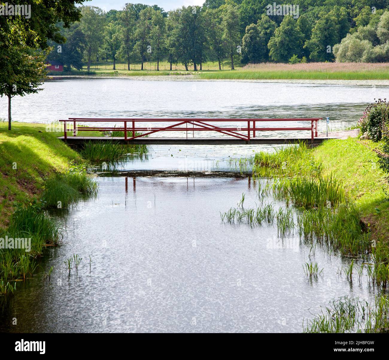 Unique sunflowers hi-res stock photography and images - Alamy