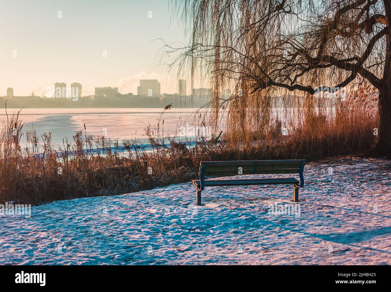 Beautiful sunset with lonely tree and bench by the lake, on a very cold ...
