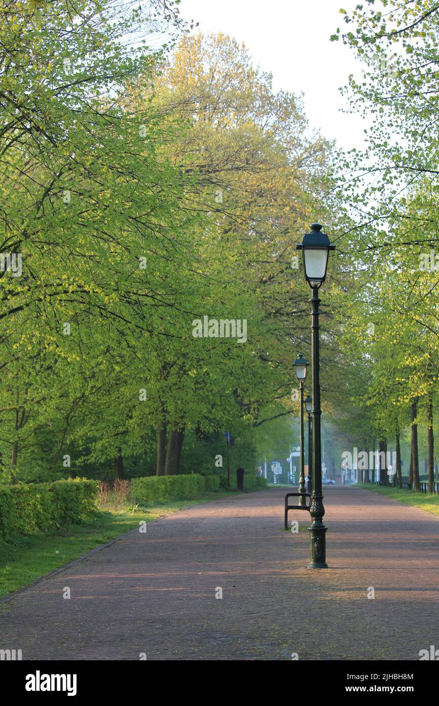 A row of classic street light lanterns along park alley Stock Photo - Alamy