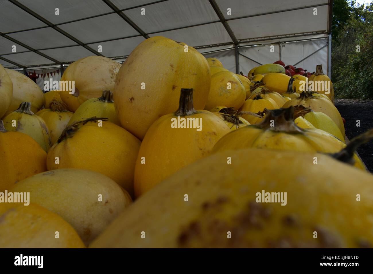 Sunnyfields farm hi-res stock photography and images - Alamy