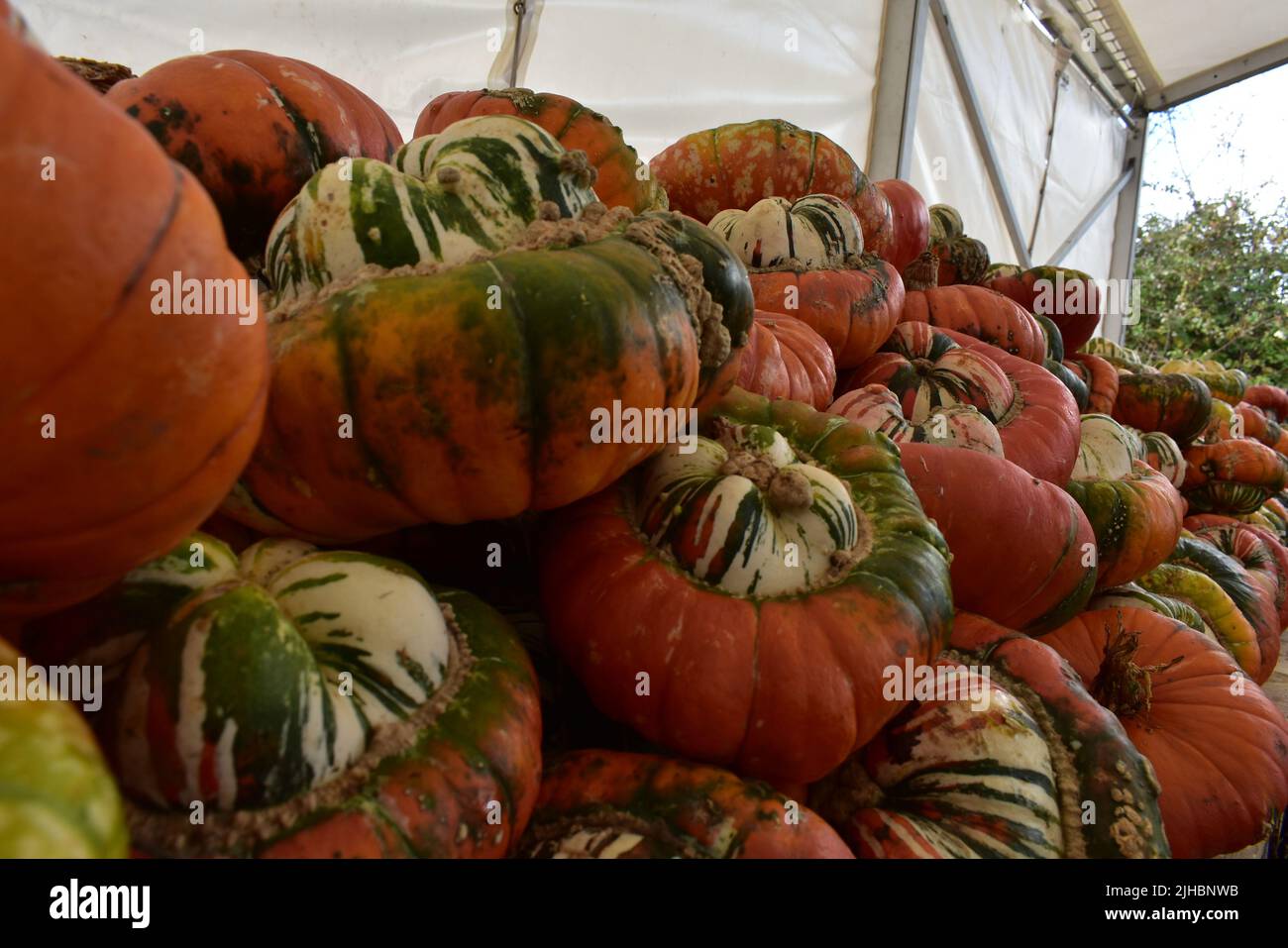 Sunnyfields farm hi-res stock photography and images - Alamy