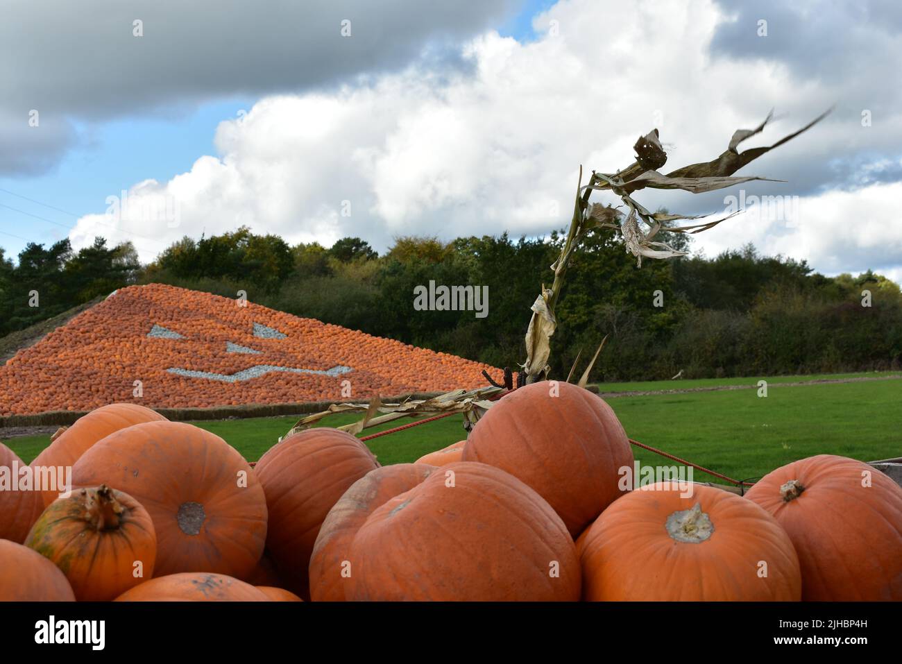 Sunnyfields farm hi-res stock photography and images - Alamy