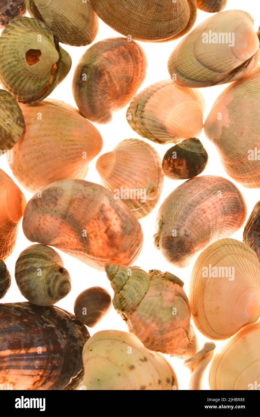 Beachfront lots hi-res stock photography and images - Alamy