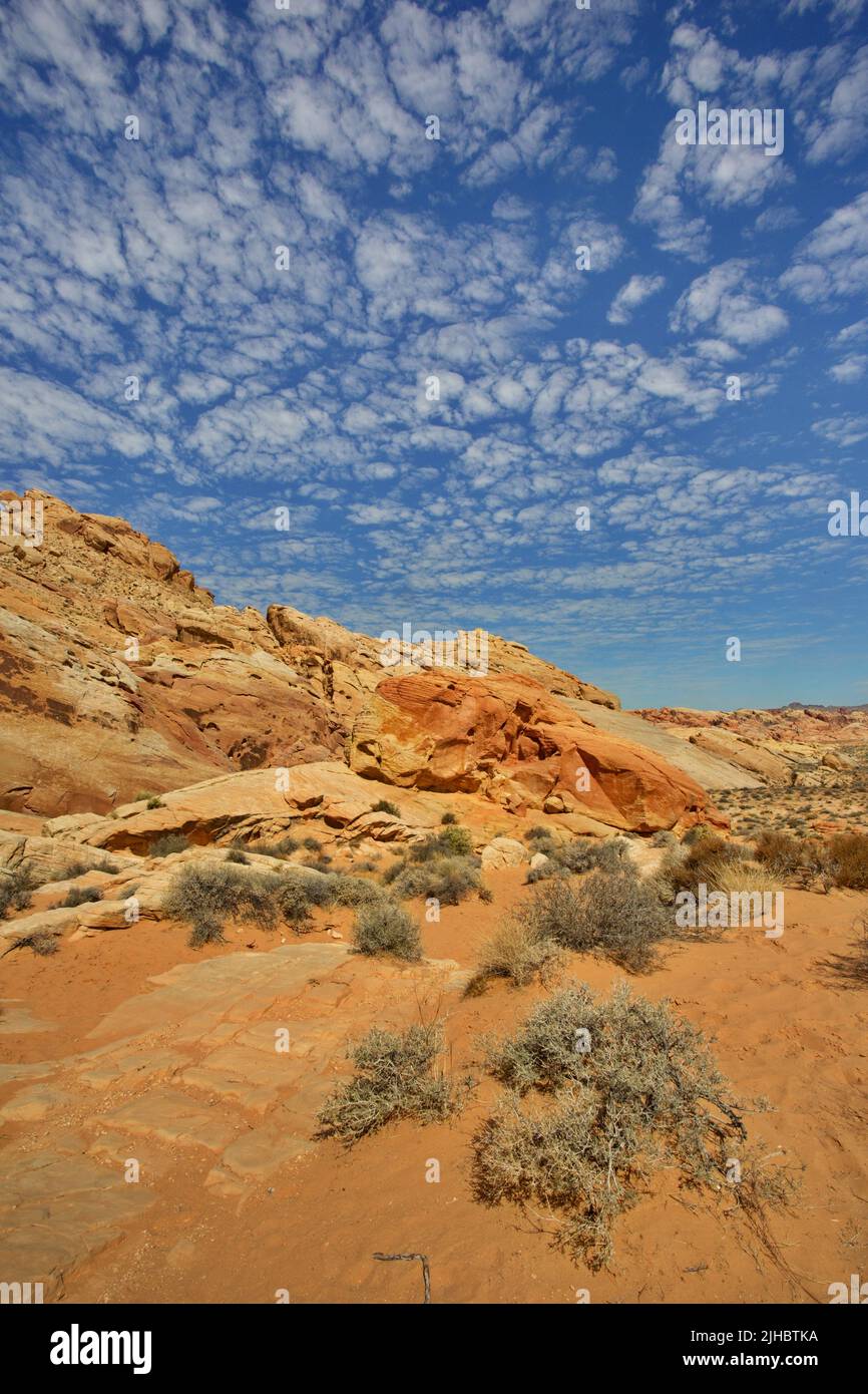 Environmental landscape of desert scenery in Valley of Fire State Park ...