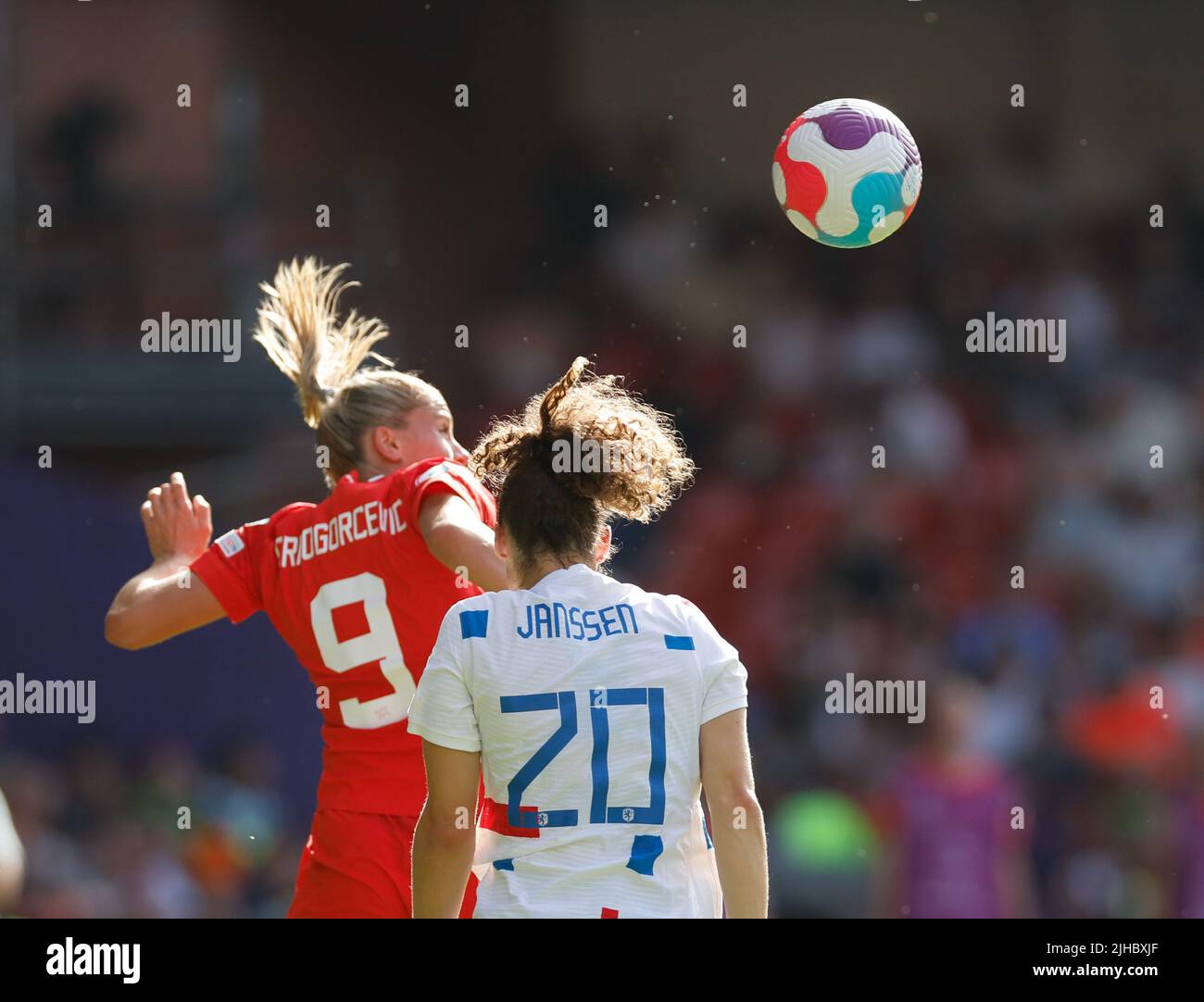 Heafer hi-res stock photography and images - Alamy