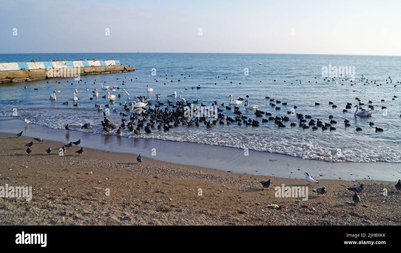 Crimeaukraine hi-res stock photography and images - Alamy