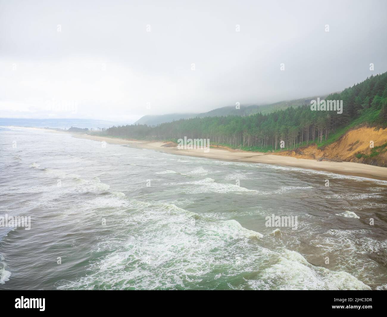 Seascape. Ocean, mountains and coniferous forest, light blue sky. The ...