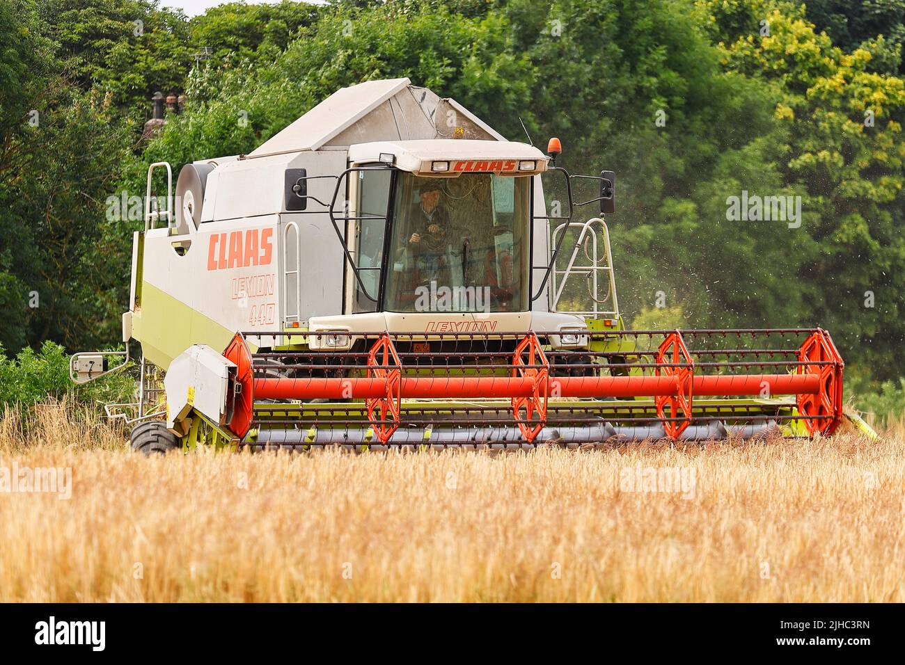 A Claas Lexion 440 combine harvester, harvesting Barley in Leeds,West ...