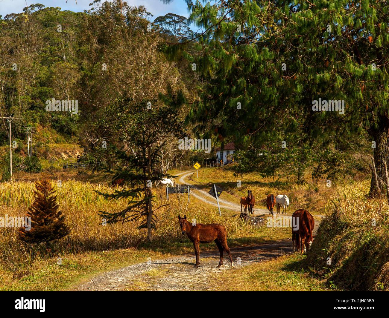 Rural life at the Bocaina Hills, a popular tourist destination, São ...