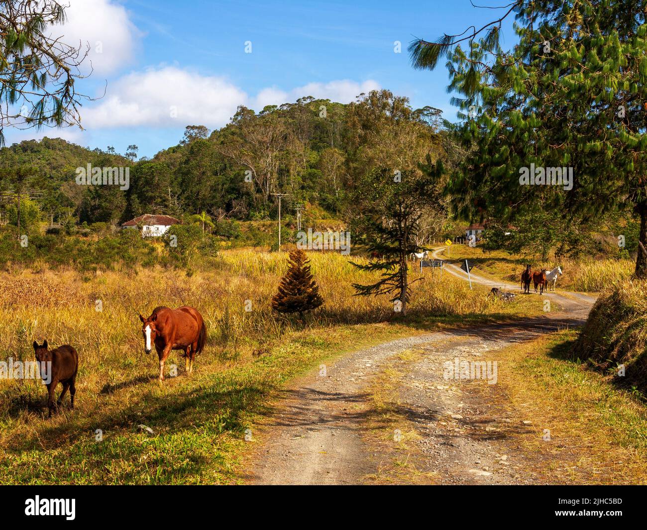 Rural brazil hi-res stock photography and images - Alamy