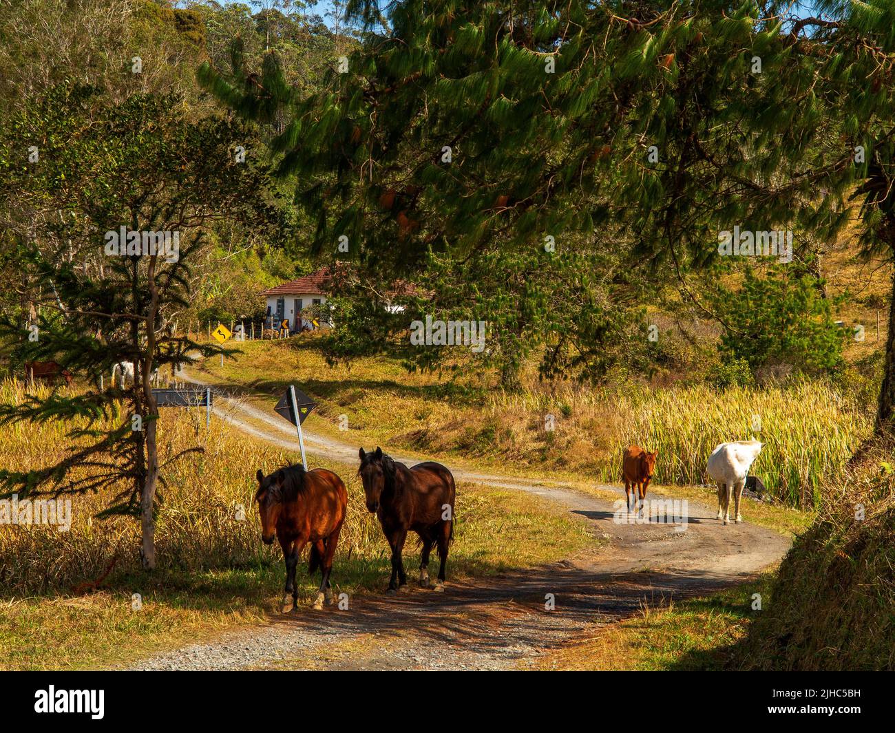 Rural life at the Bocaina Hills, a popular tourist destination, São ...