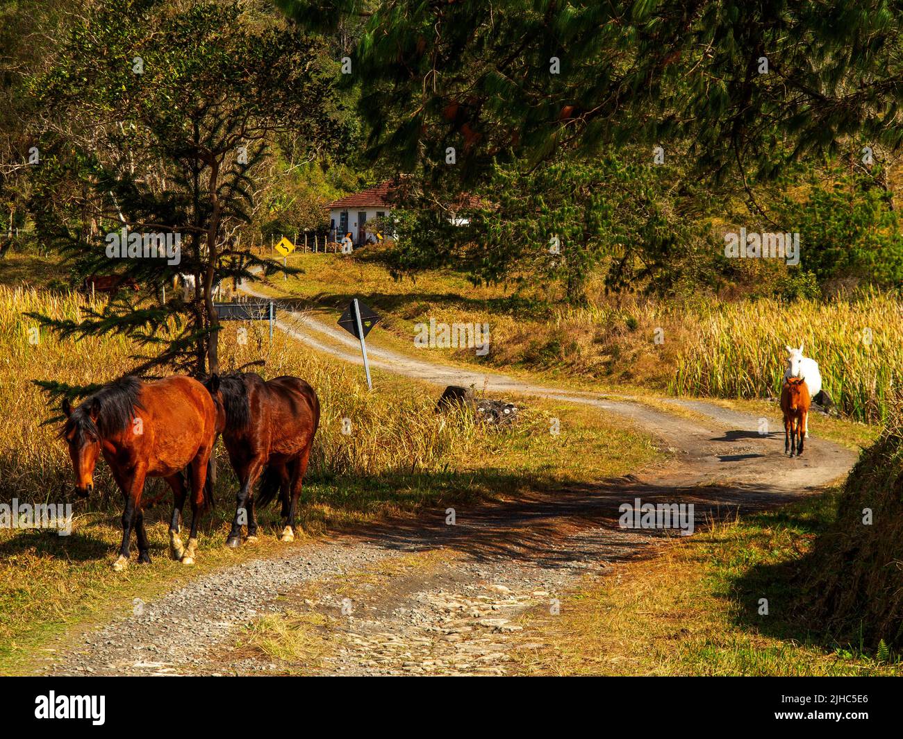 Rural life at the Bocaina Hills, a popular tourist destination, São ...