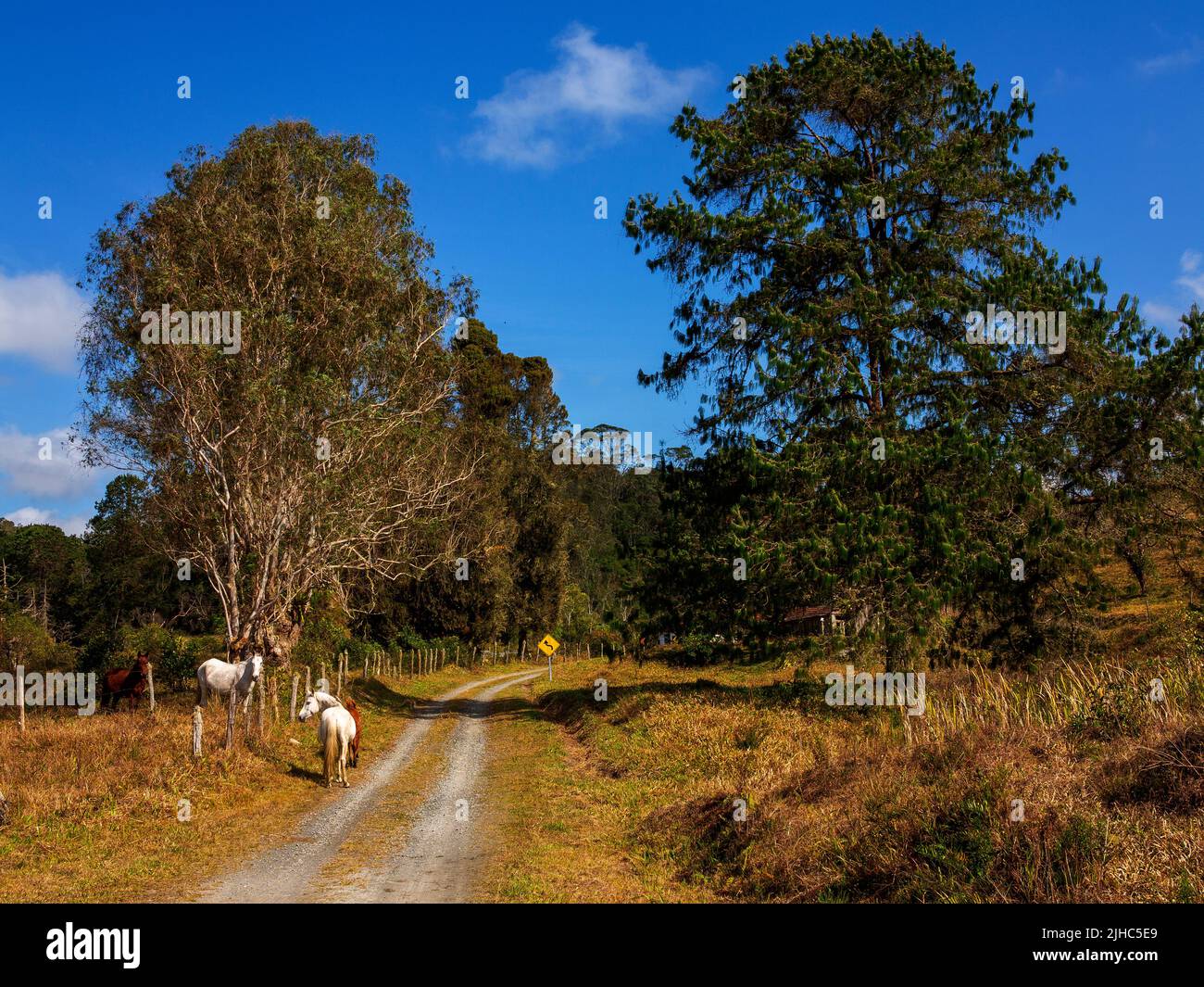 Rural life at the Bocaina Hills, a popular tourist destination, São ...