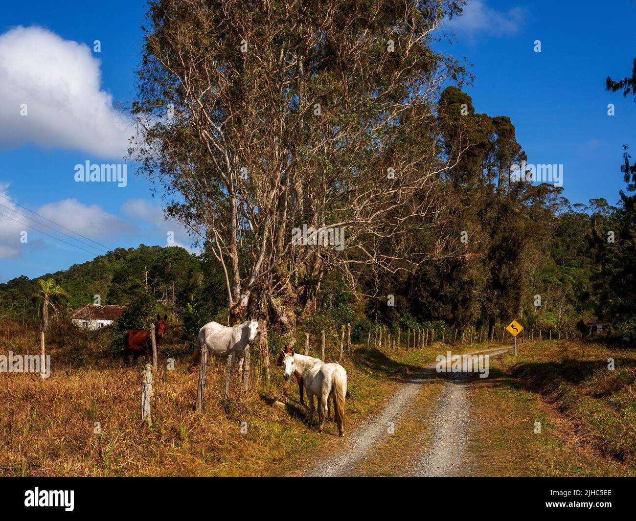 Rural life at the Bocaina Hills, a popular tourist destination, São ...