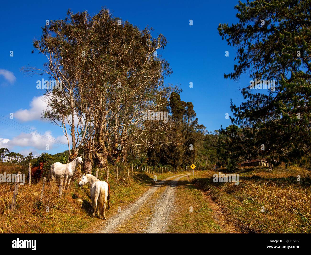 Rural life at the Bocaina Hills, a popular tourist destination, São ...