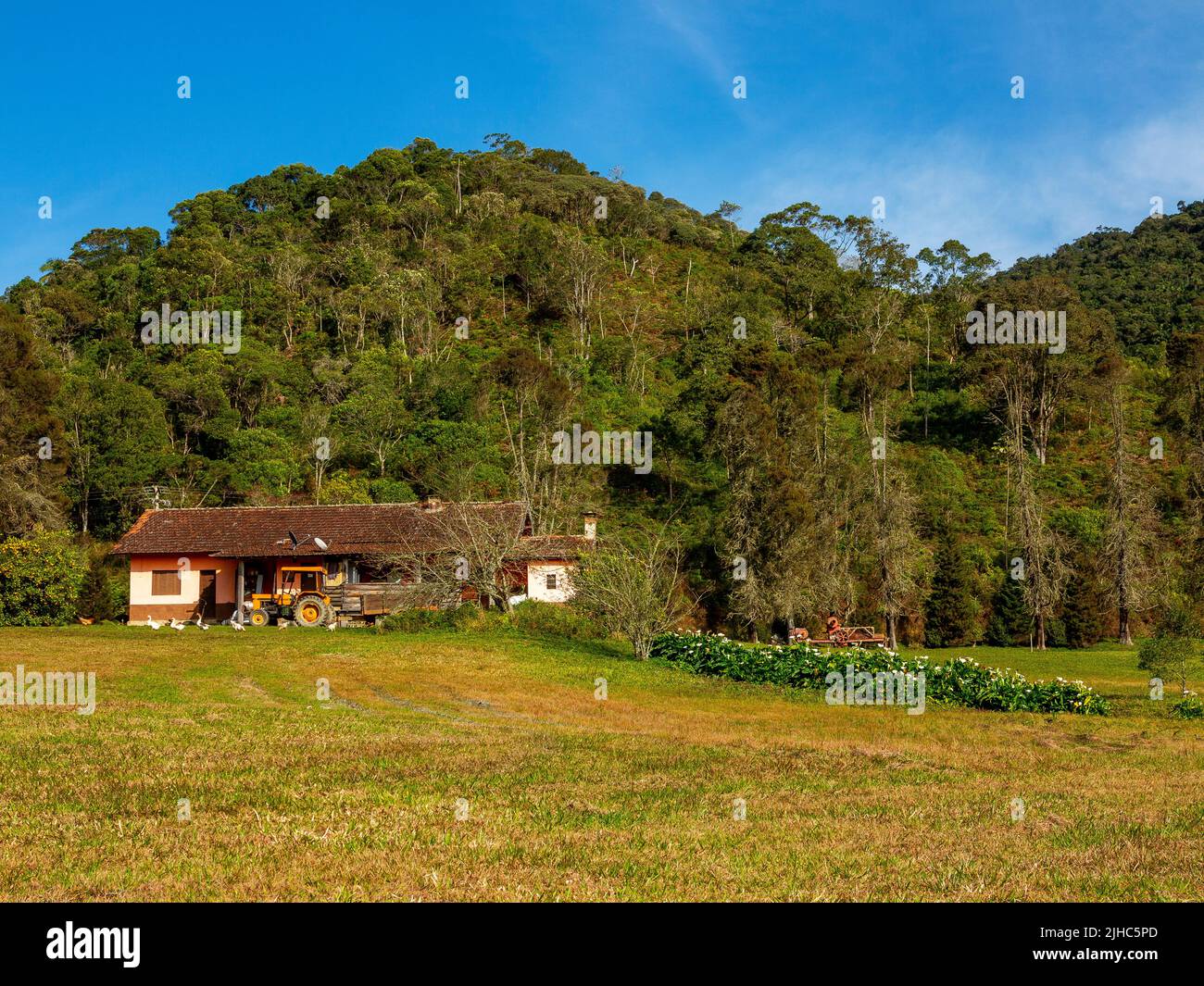 Rural brazil hi-res stock photography and images - Alamy