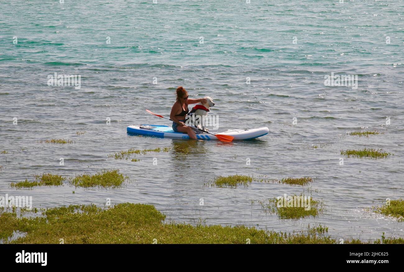 A pretty young lady and her best friend on a paddle board Stock Photo ...